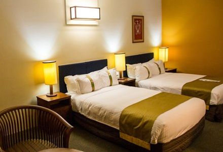 Speargrass | Kakadu National Park | Parks Australia