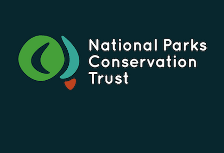 Kakadu plum | Kakadu National Park | Parks Australia