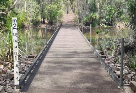 Kapok bush | Kakadu National Park | Parks Australia