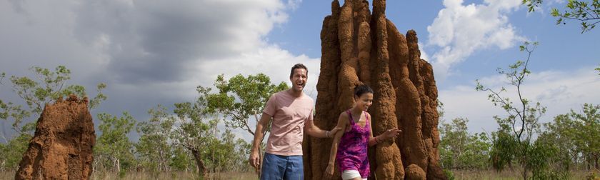 Termites | Kakadu National Park | Parks Australia
