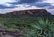 Jabiru | Kakadu National Park | Parks Australia