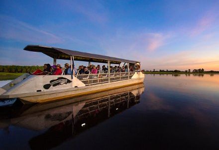 Kakadu plum | Kakadu National Park | Parks Australia