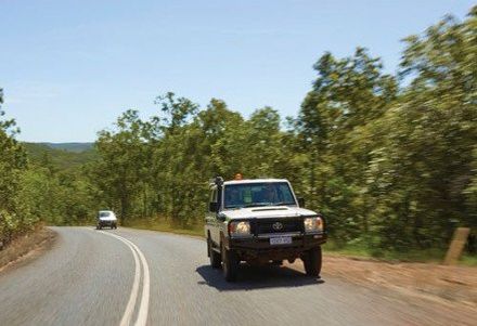 Pandanus | Kakadu National Park | Parks Australia